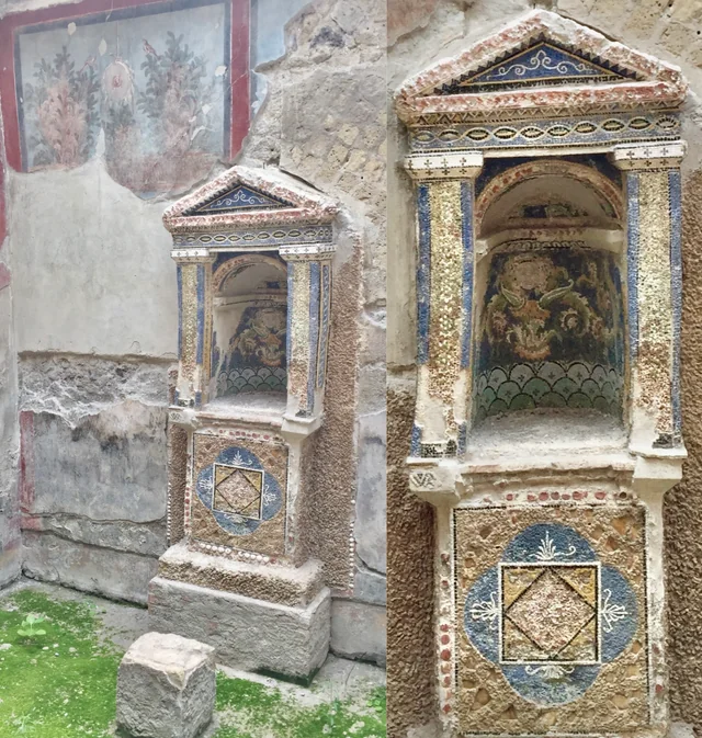 The Medlar Fruit: A Journey from Ancient Remedy to Modern Superfood – EJADA